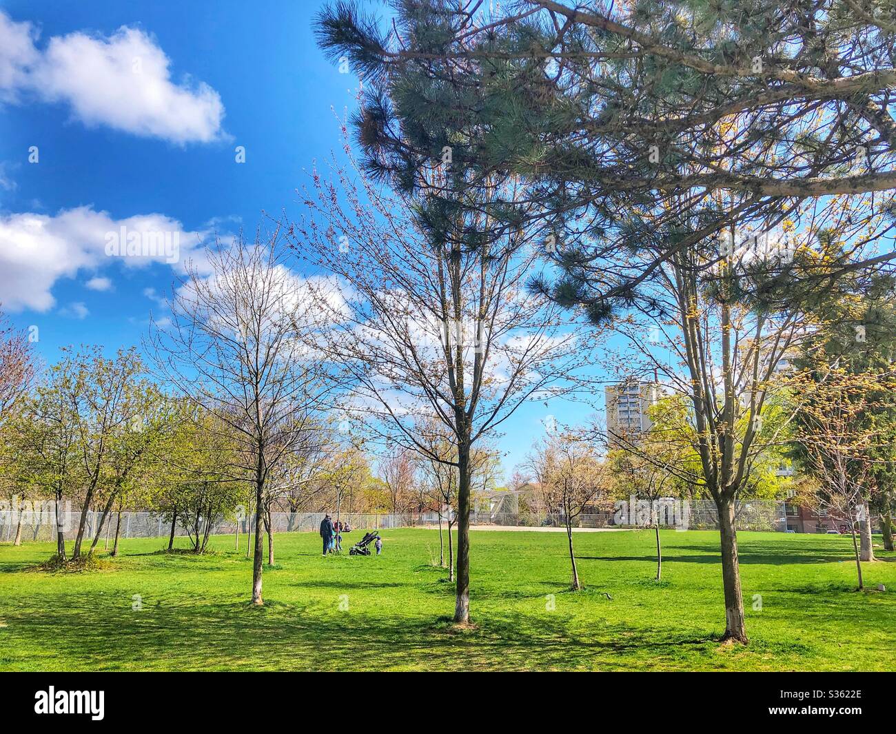An empty neighbourhood park in Toronto, Canada Stock Photo - Alamy
