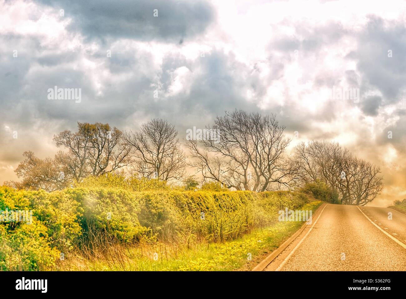 Roadside scenery hi-res stock photography and images - Alamy