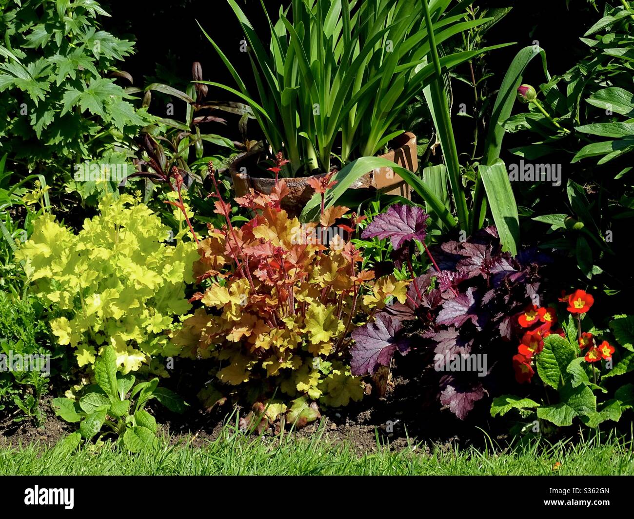 Colourful plants hi-res stock photography and images - Alamy