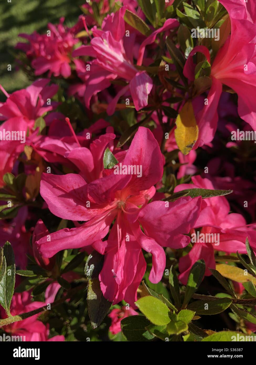 No filters hi-res stock photography and images - Alamy