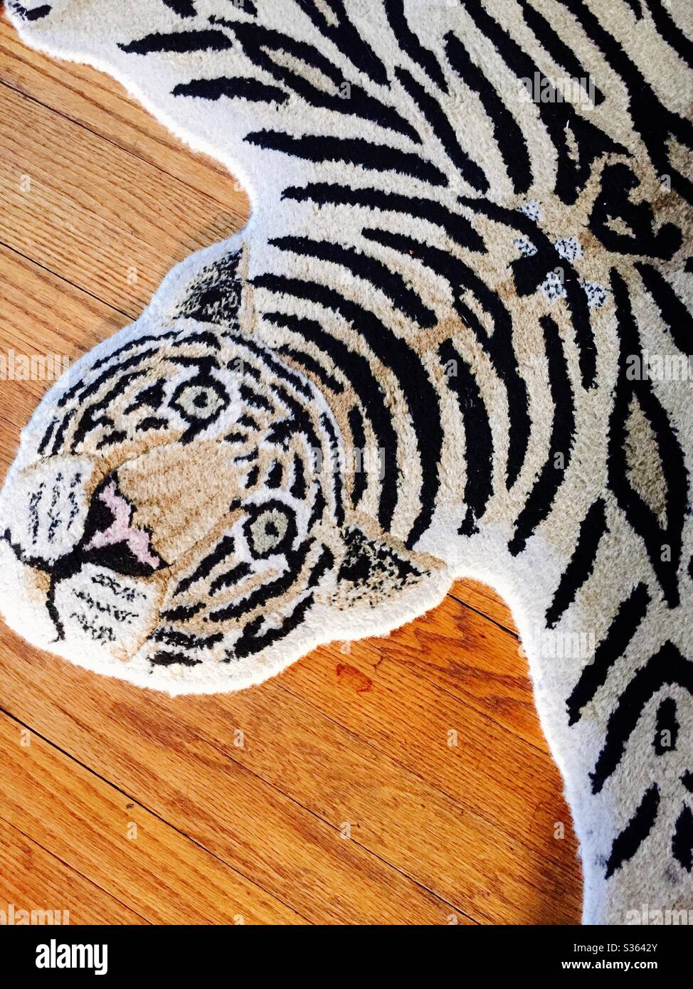 Tiger skin rug hi-res stock photography and images - Alamy