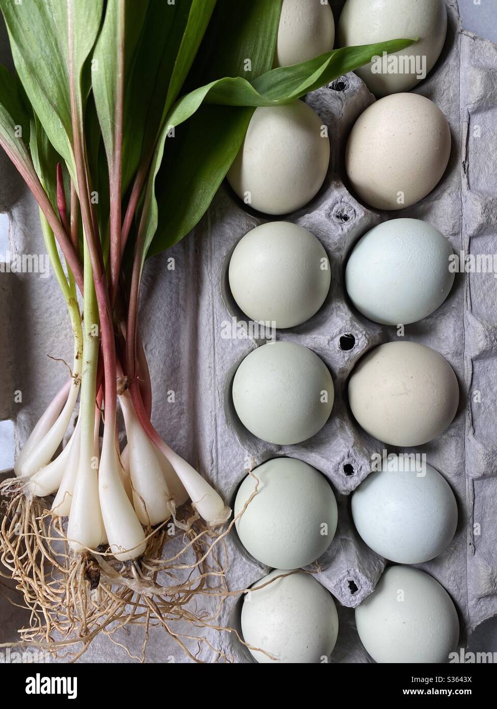 Farm eggs and ramps from farmers market Stock Photo - Alamy