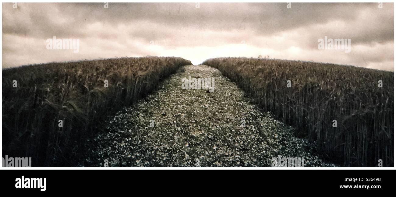 An empty landscape Stock Photo - Alamy