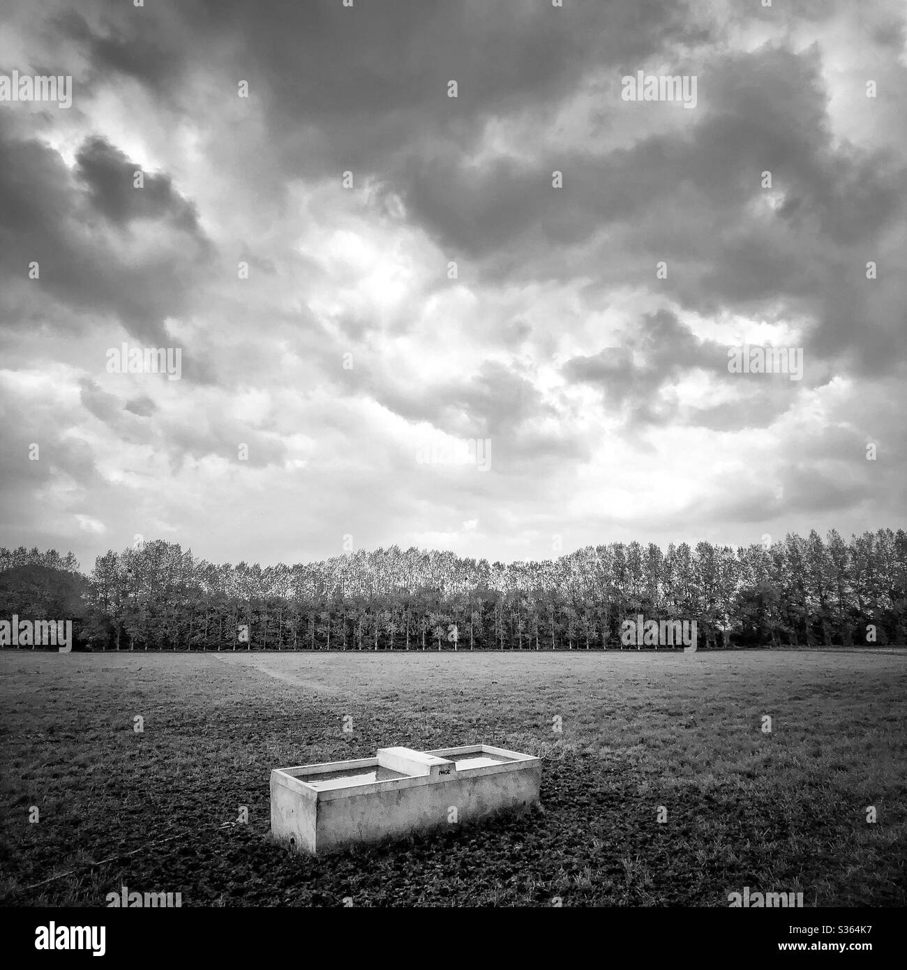 Trees and trough Stock Photo - Alamy