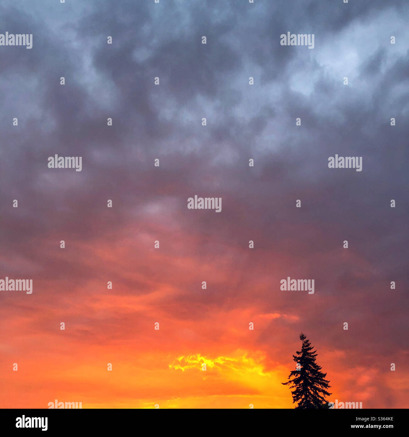 Night sky smartphone stock photos and images - Alamy