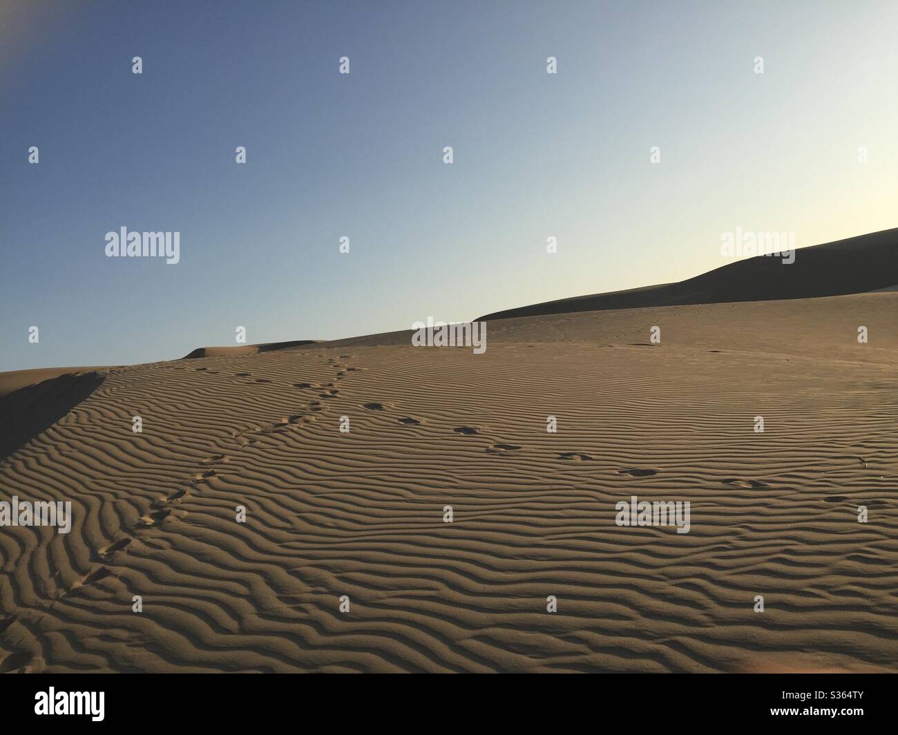 Exploring the sand dunes Stock Photo - Alamy