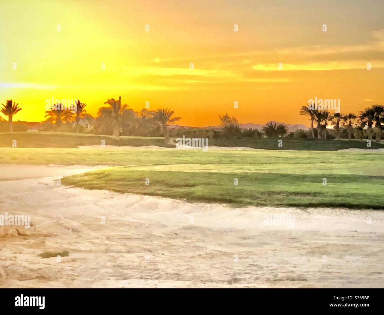 Egypt green hi-res stock photography and images - Alamy