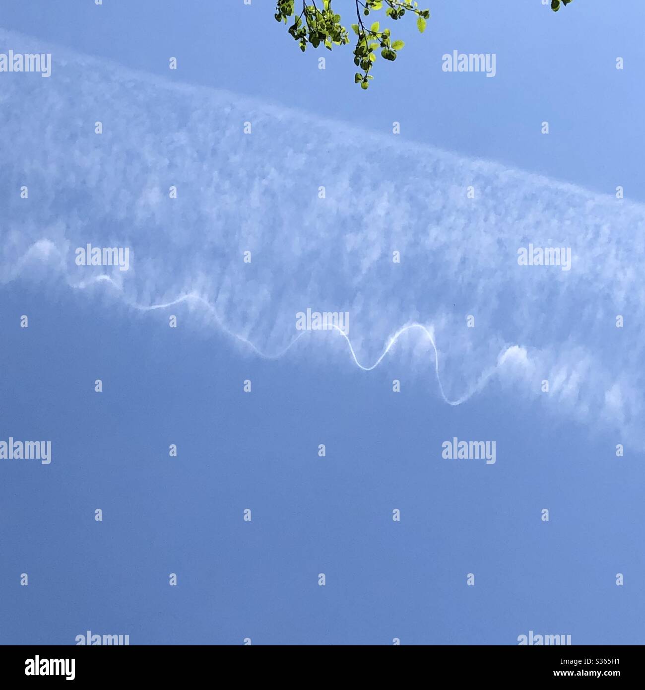 Effects of wind hi-res stock photography and images - Alamy