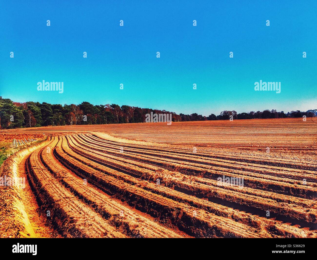 Farmland Sutton Heath Suffolk England Stock Photo - Alamy
