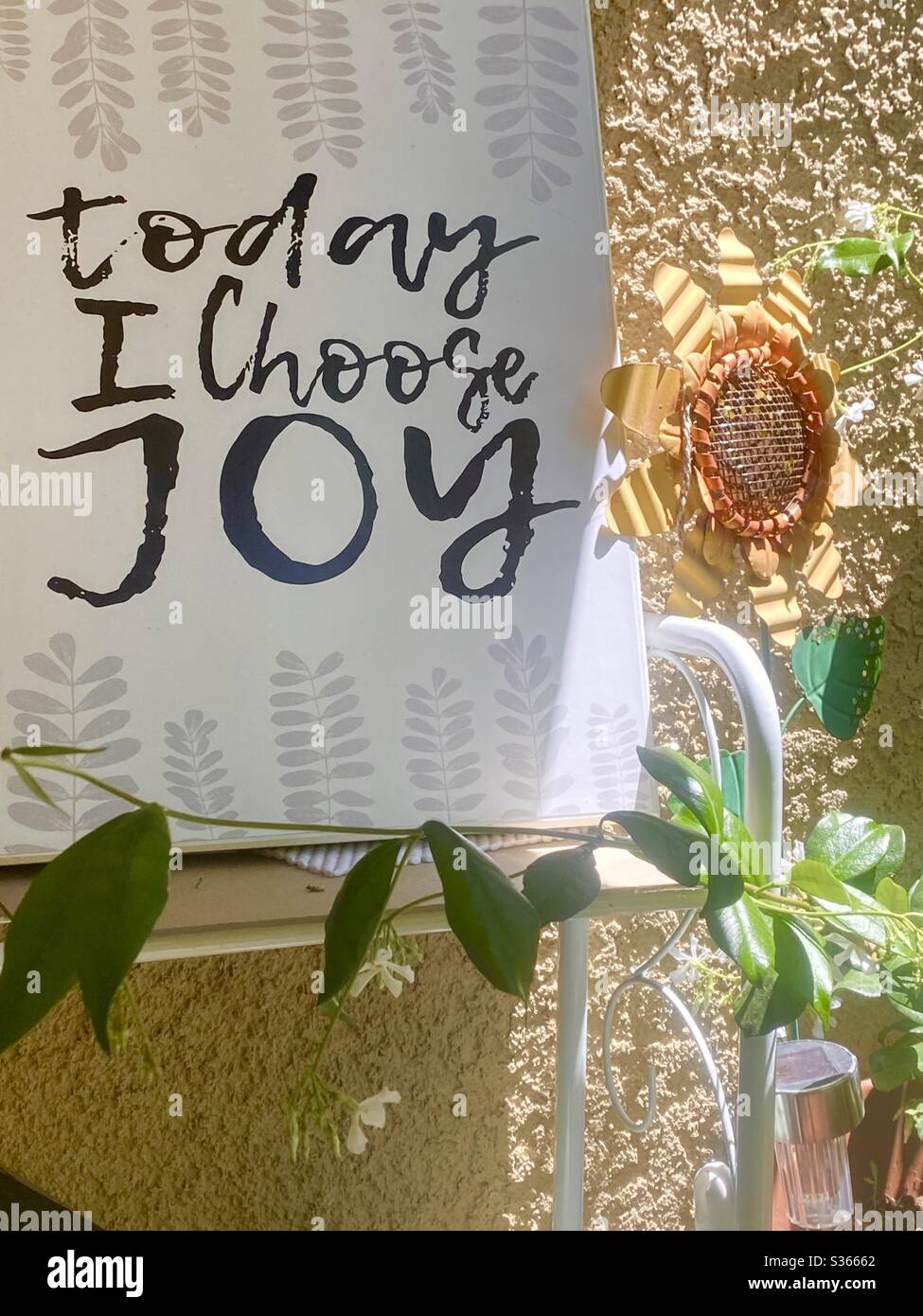 Natures joy hi-res stock photography and images - Alamy