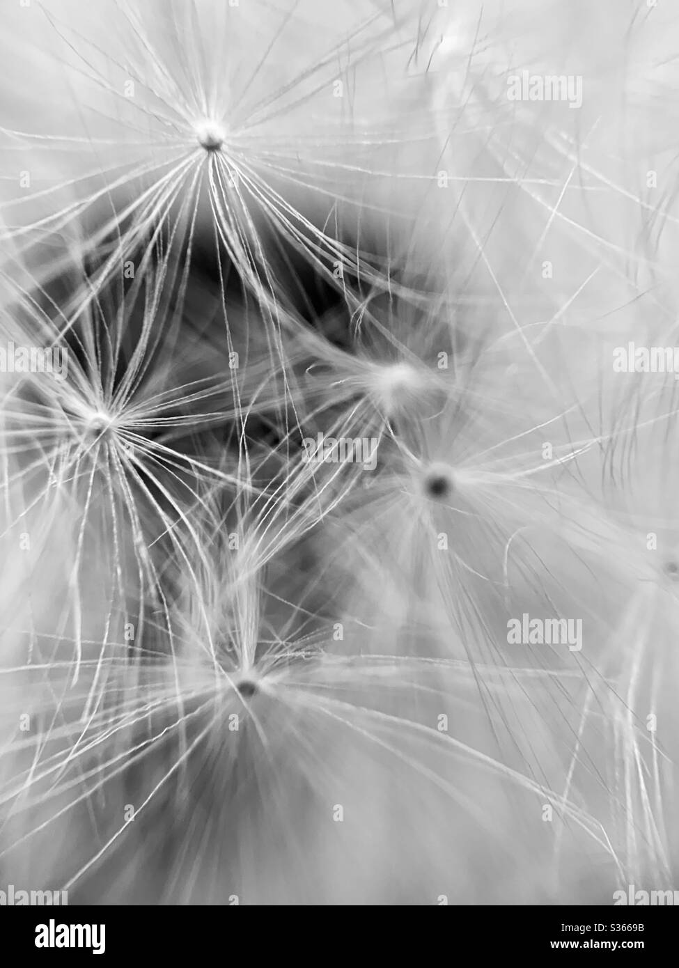 Soft wisps hi-res stock photography and images - Alamy