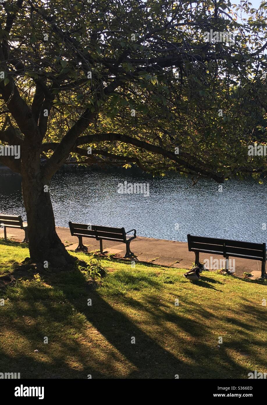 Crookes valley park hi-res stock photography and images - Alamy