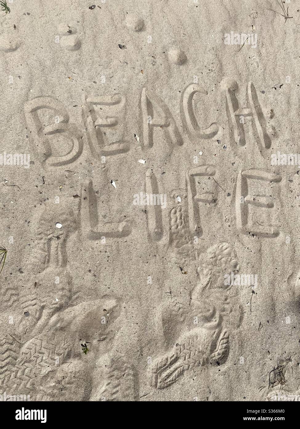 Beach life written in the sand Stock Photo - Alamy