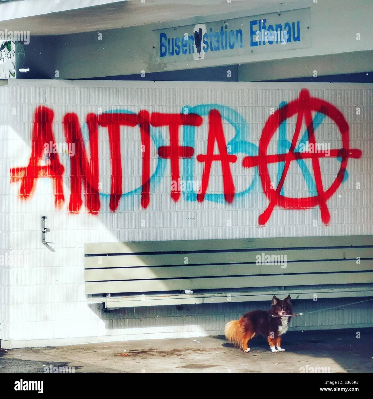 Antifa graffiti with puzzled-looking dog, Bern, Switzerland Stock Photo ...