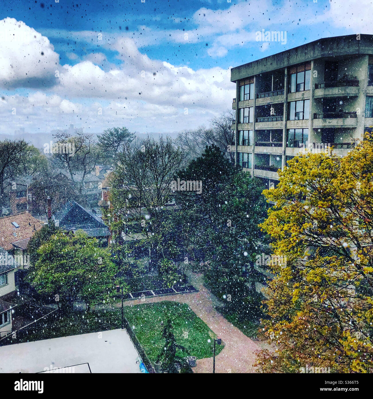 Snow in spring Stock Photo - Alamy