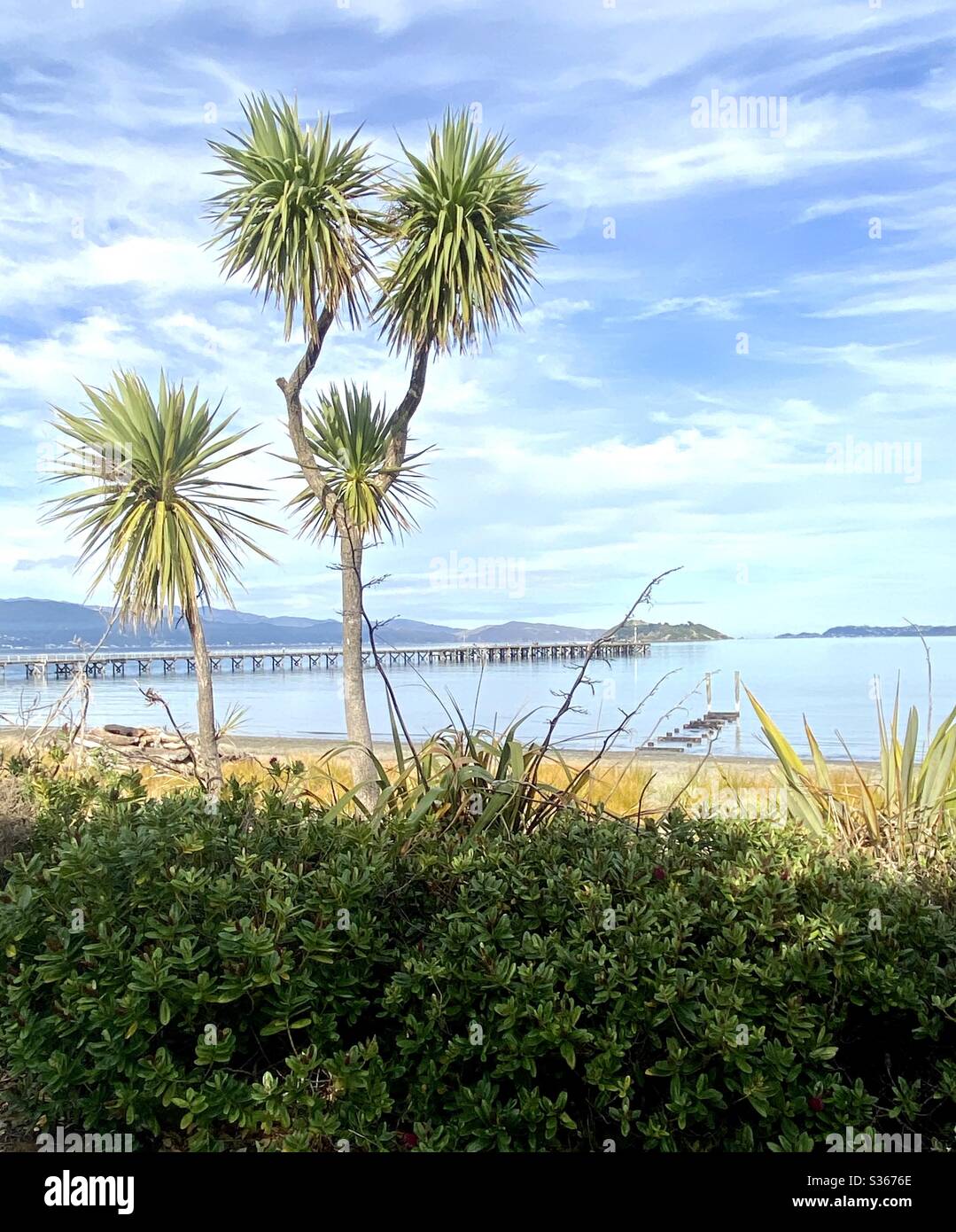 Petone Wharf Wellington harbour New Zealand Stock Photo - Alamy