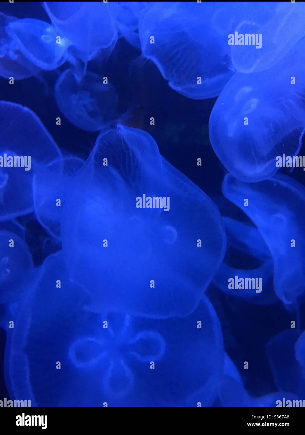 Blue floating hi-res stock photography and images - Alamy