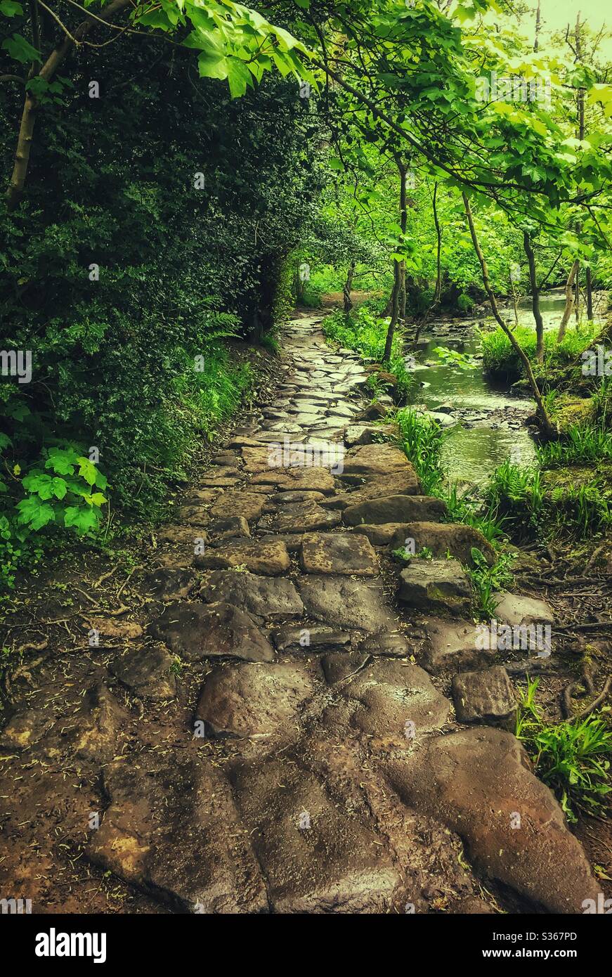 York stone path hi-res stock photography and images - Alamy