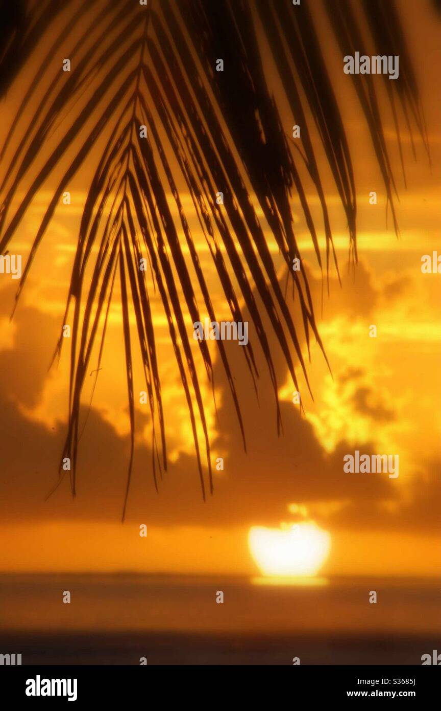 Samoan sunset hi-res stock photography and images - Alamy