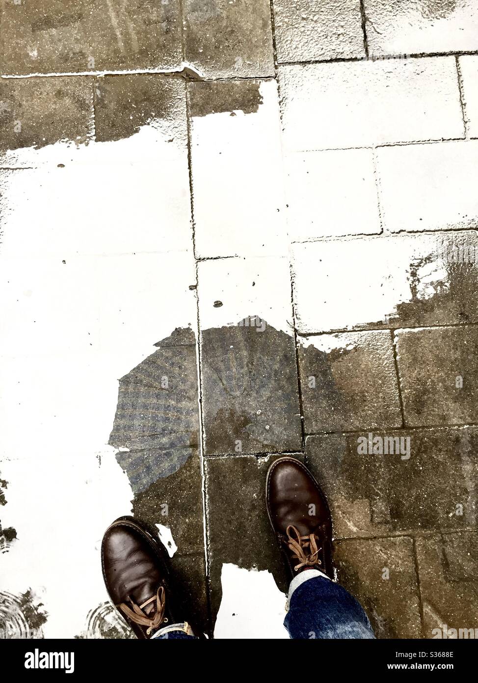 ground wet from the rain with the reflection of an umbrella Stock Photo ...