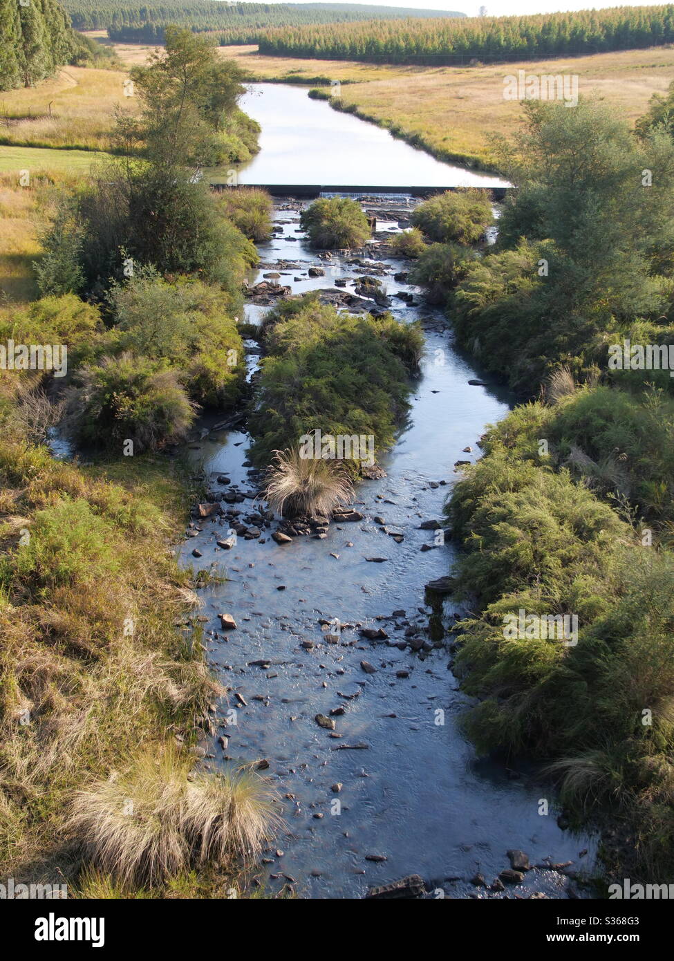 Steam flowing through high veld farm lands Stock Photo - Alamy