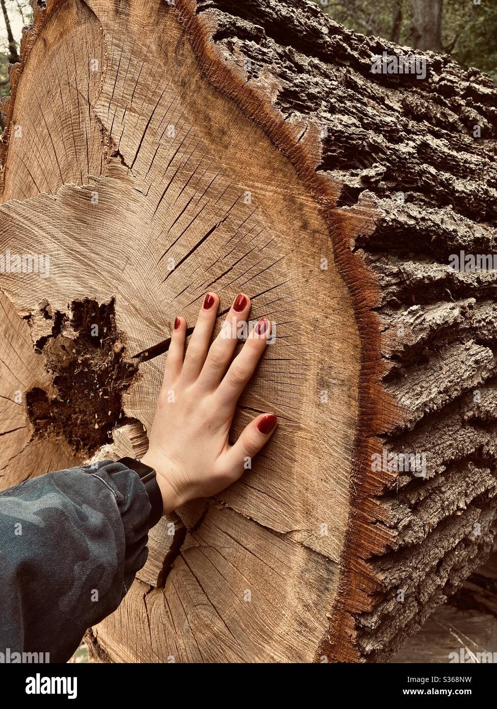 In comparison hi-res stock photography and images - Alamy