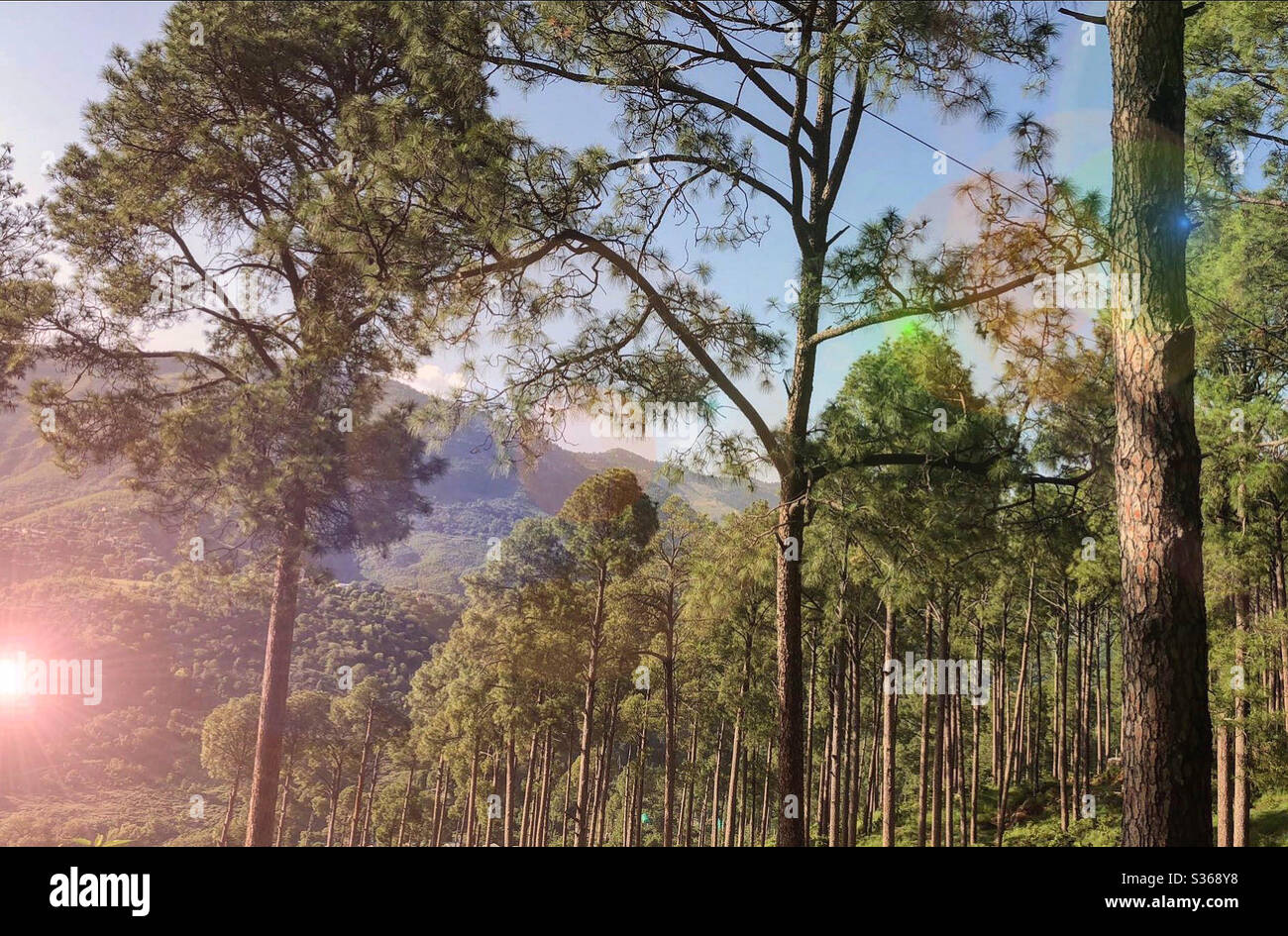 Murree hills hi-res stock photography and images - Alamy