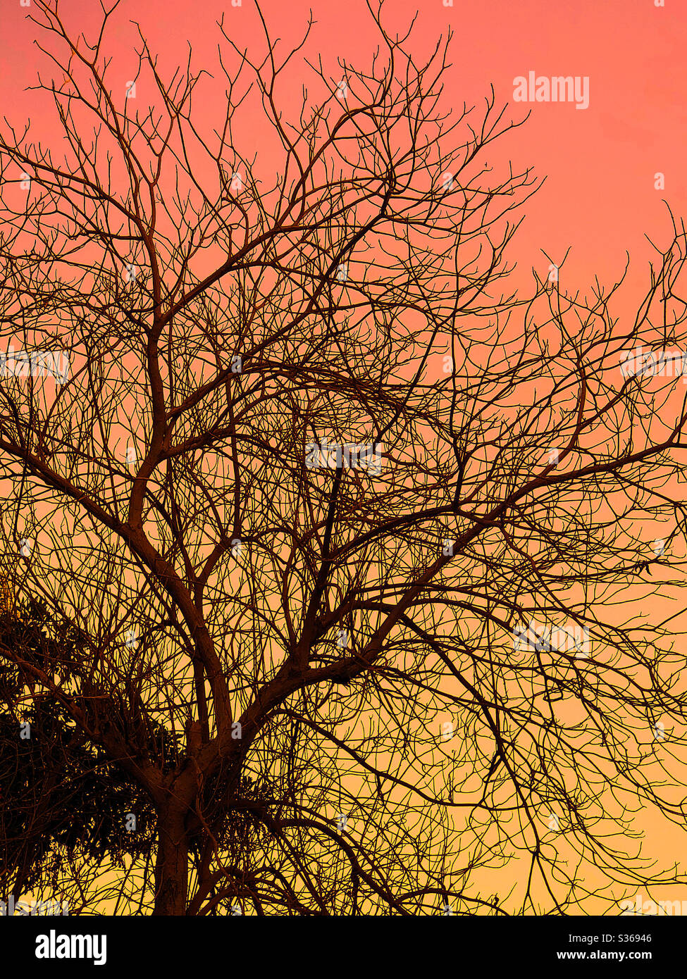 Nature at twilight hi-res stock photography and images - Alamy