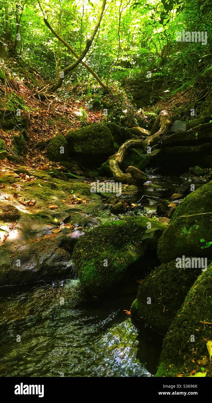 Rivelin Valley High Resolution Stock Photography and Images - Alamy