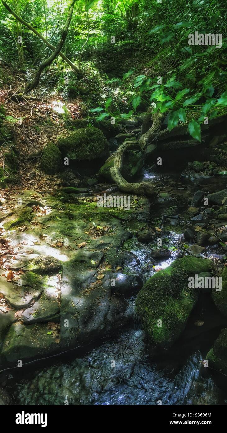 Rivelin pool hi-res stock photography and images - Alamy