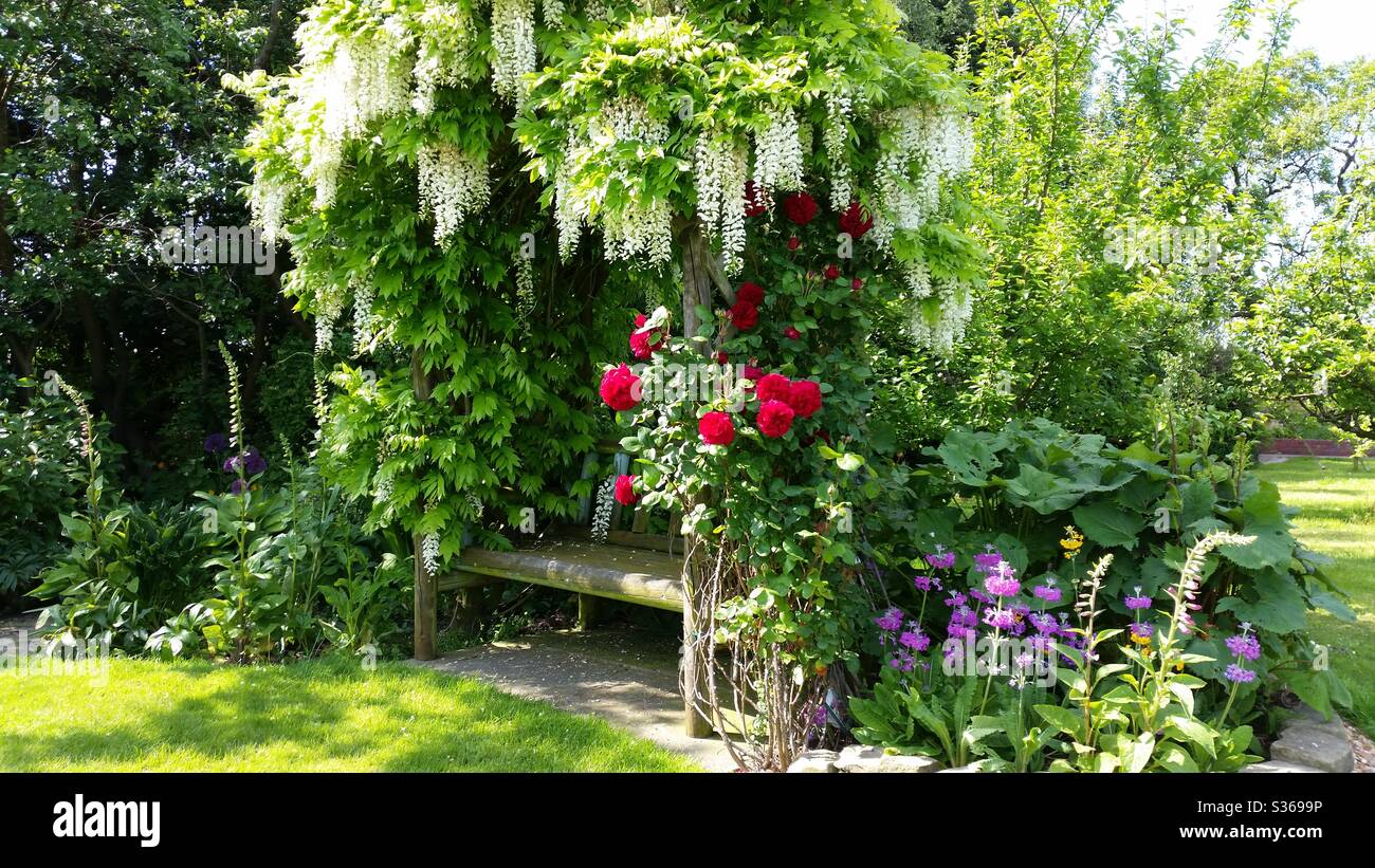 Rose arbour hi-res stock photography and images - Alamy