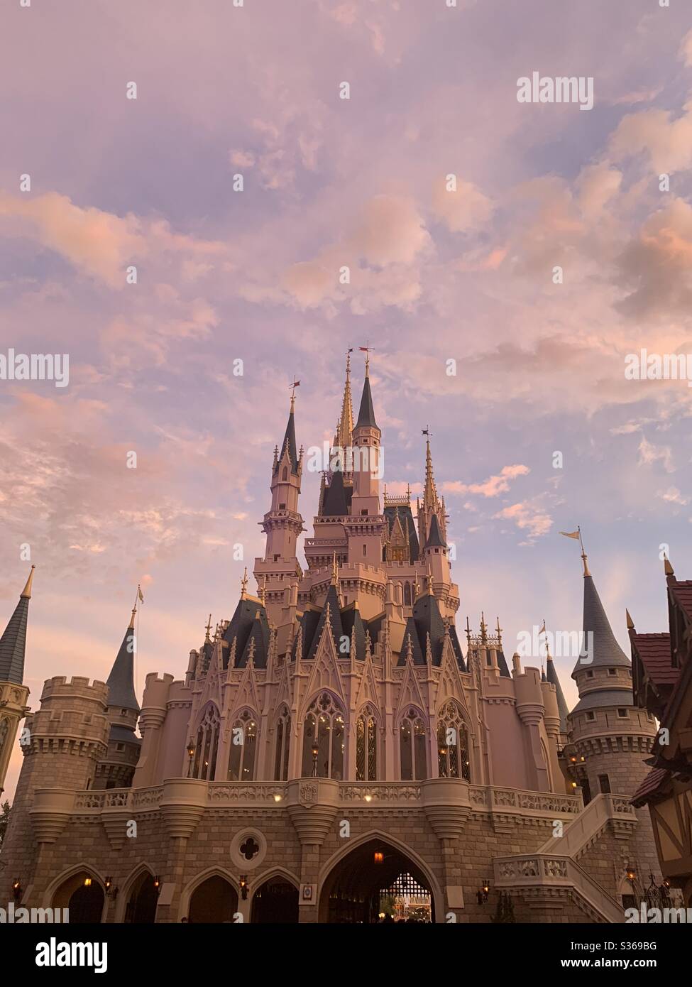 Disney Castle At Sunset