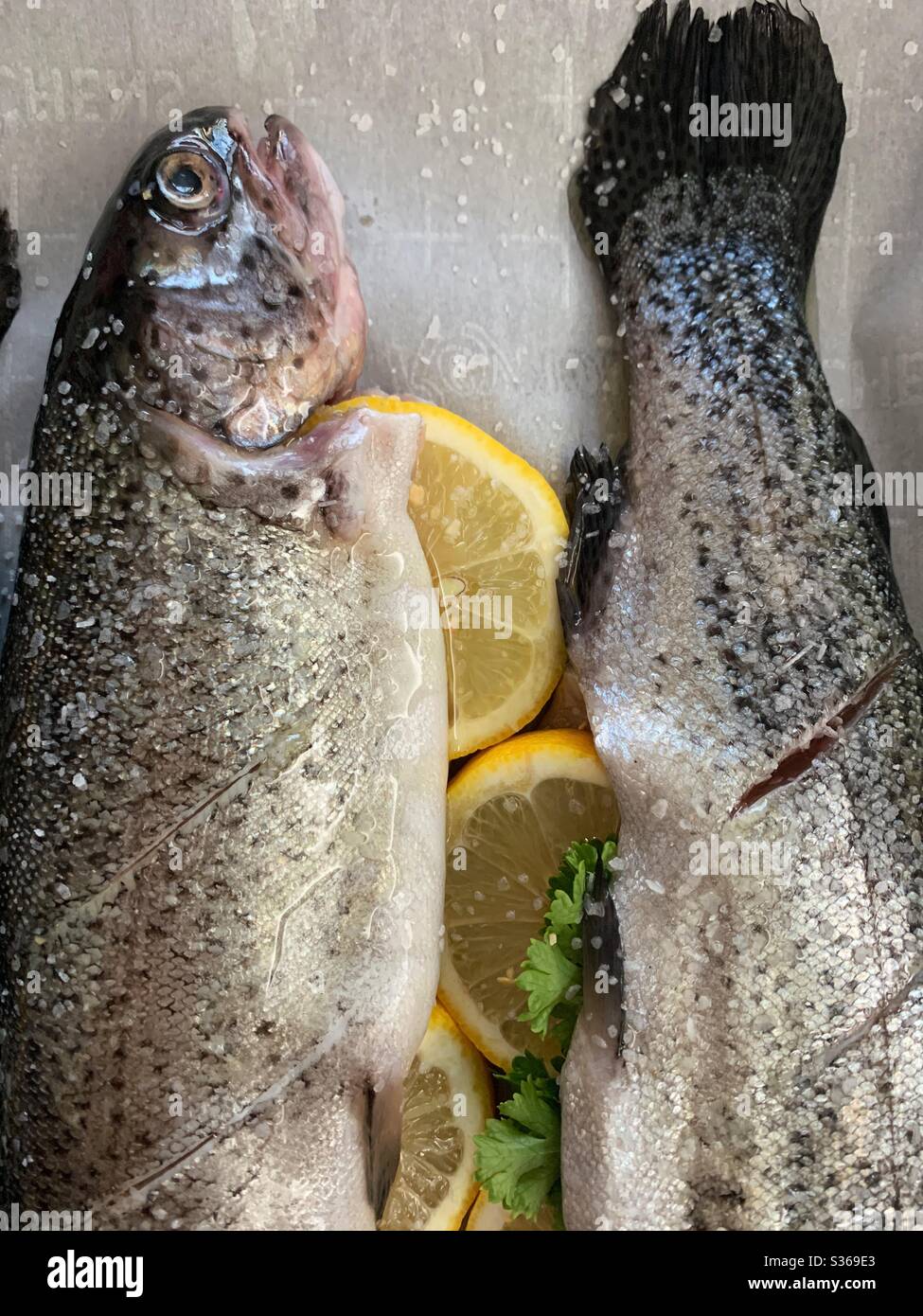 Cook seafood hi-res stock photography and images - Alamy