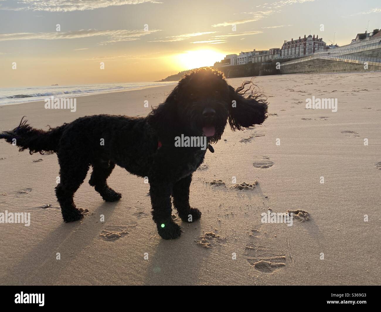 Beach whitley bay hi-res stock photography and images - Alamy