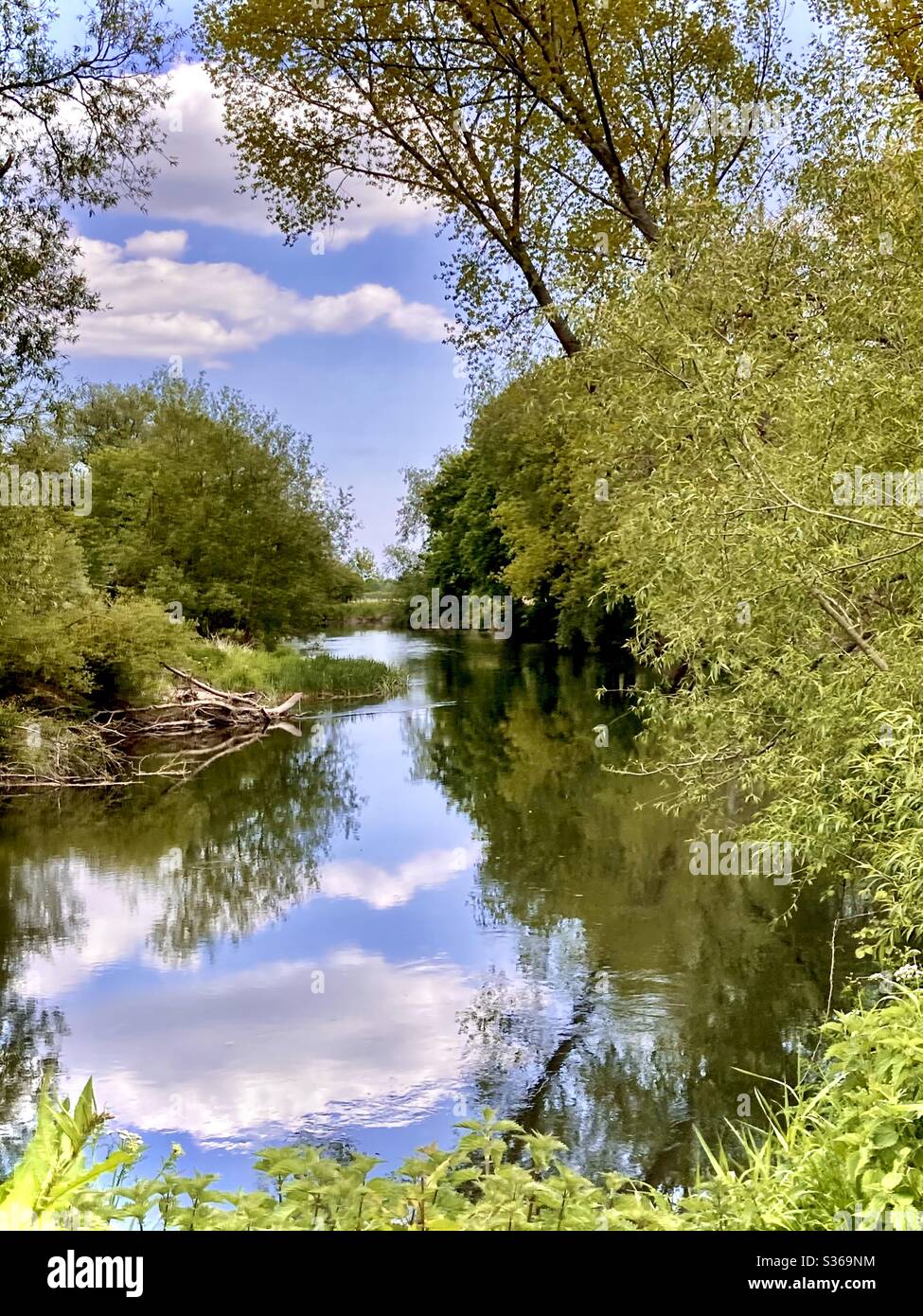 Beautiful river view through the trees Stock Photo - Alamy
