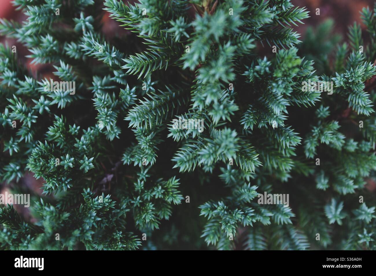 Bird eye view hi-res stock photography and images - Alamy