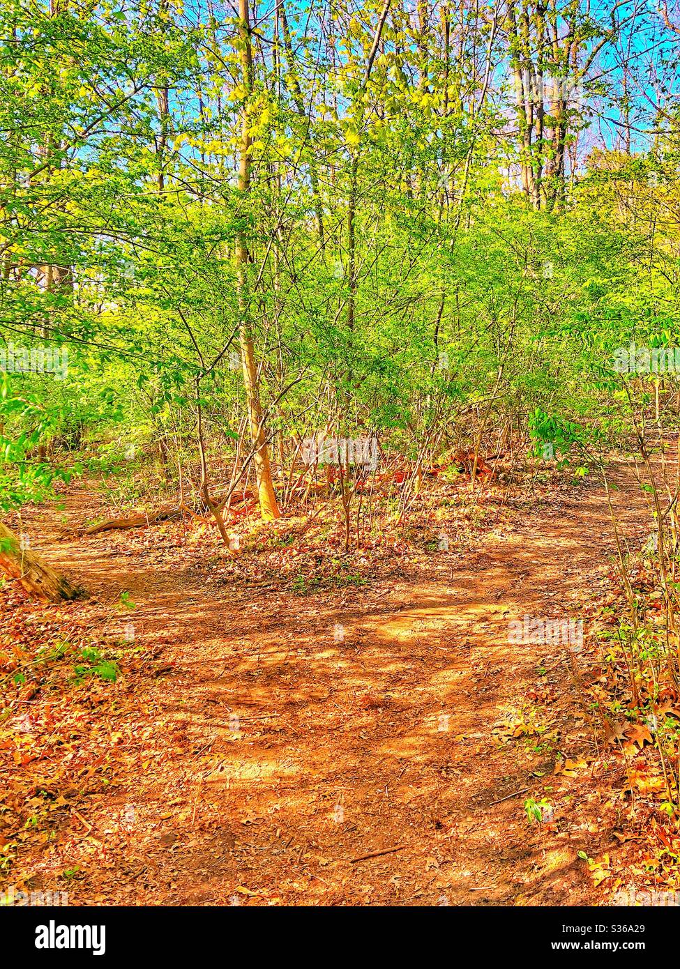 Walk in nature hi-res stock photography and images - Alamy
