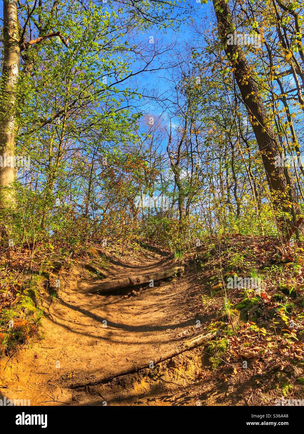 Solitary park path hi-res stock photography and images - Alamy