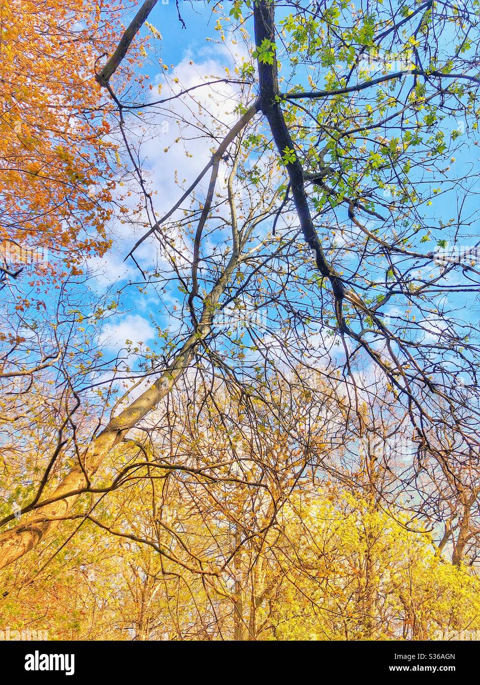 The colours of nature Stock Photo - Alamy