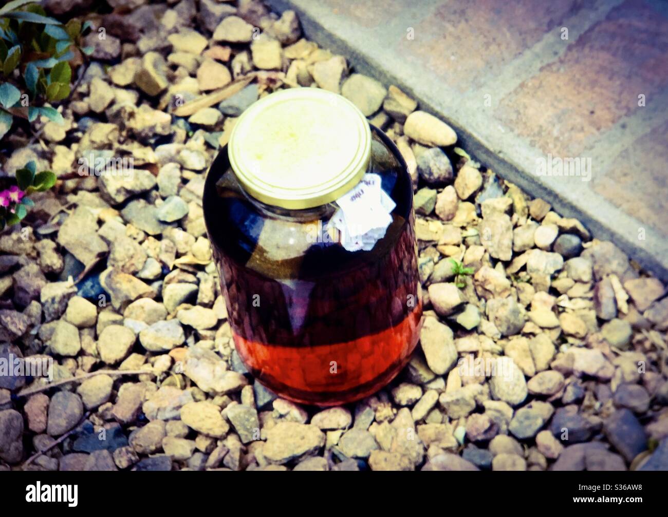 Making sun tea outdoors Stock Photo - Alamy