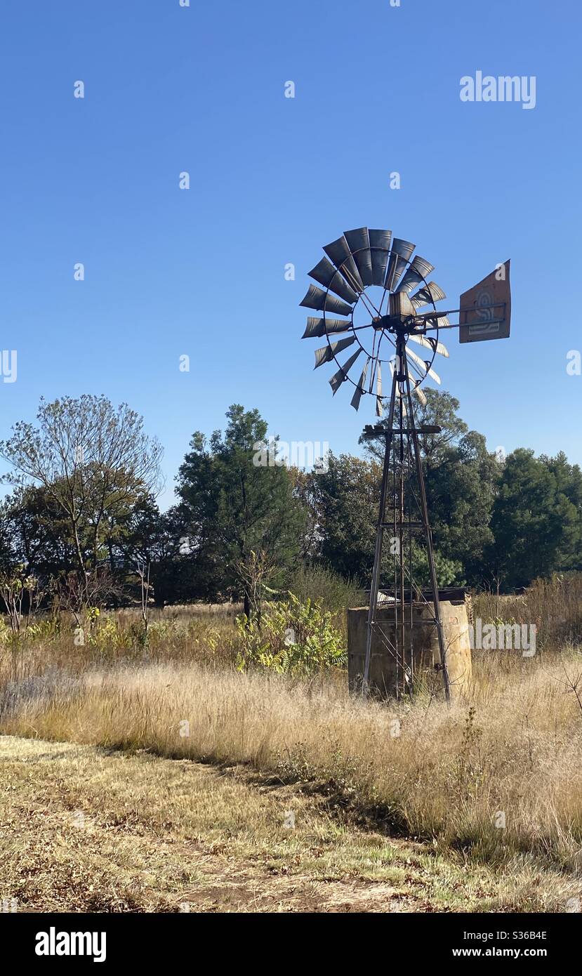 High veld hi-res stock photography and images - Alamy