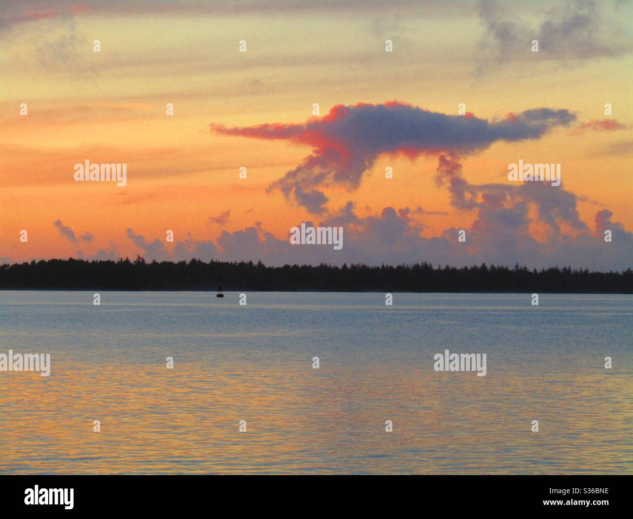 Dinosaur cloud hi-res stock photography and images - Alamy