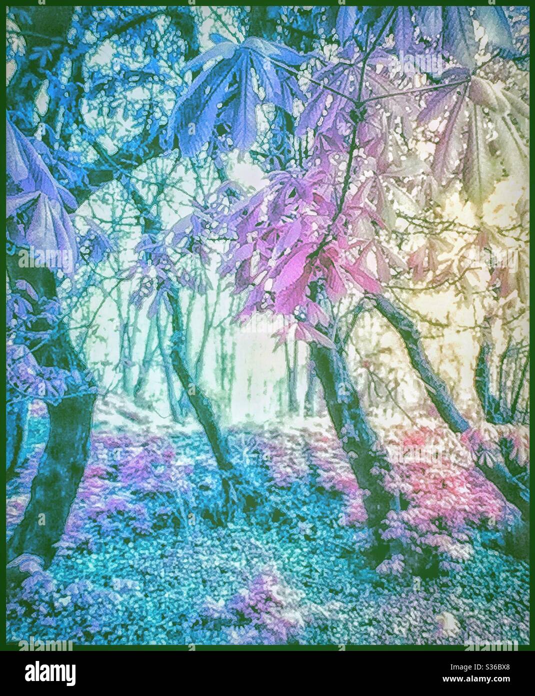 False colour infrared hi-res stock photography and images - Alamy