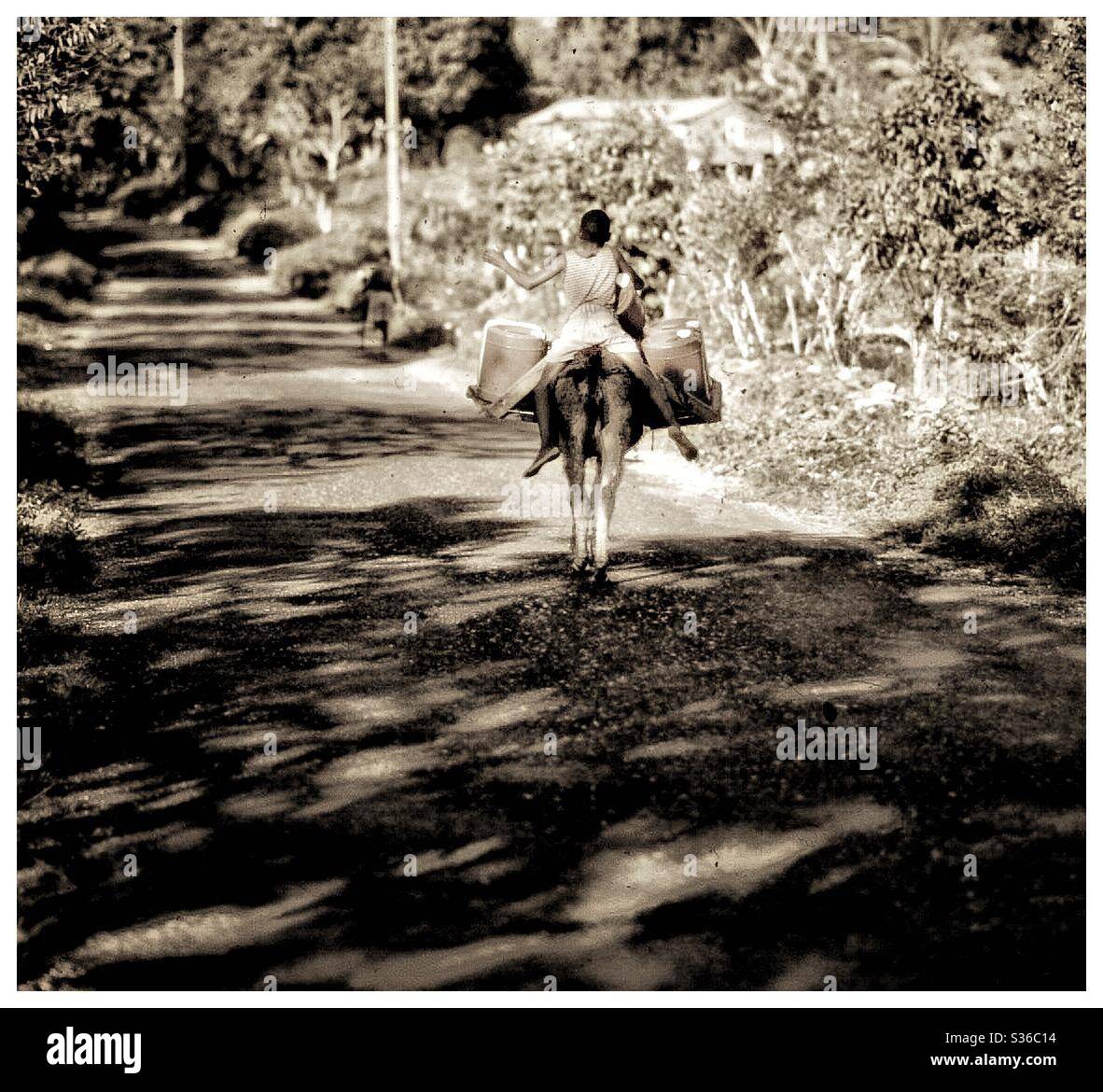 A Jamaican child riding a donkey Stock Photo - Alamy