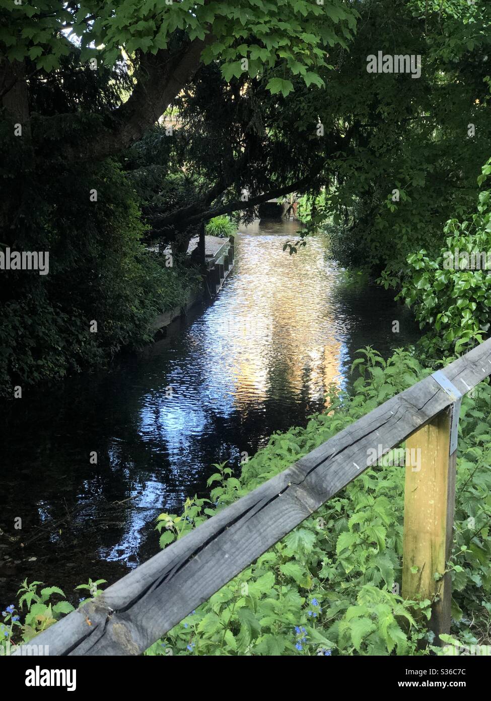 Wandle hi-res stock photography and images - Alamy