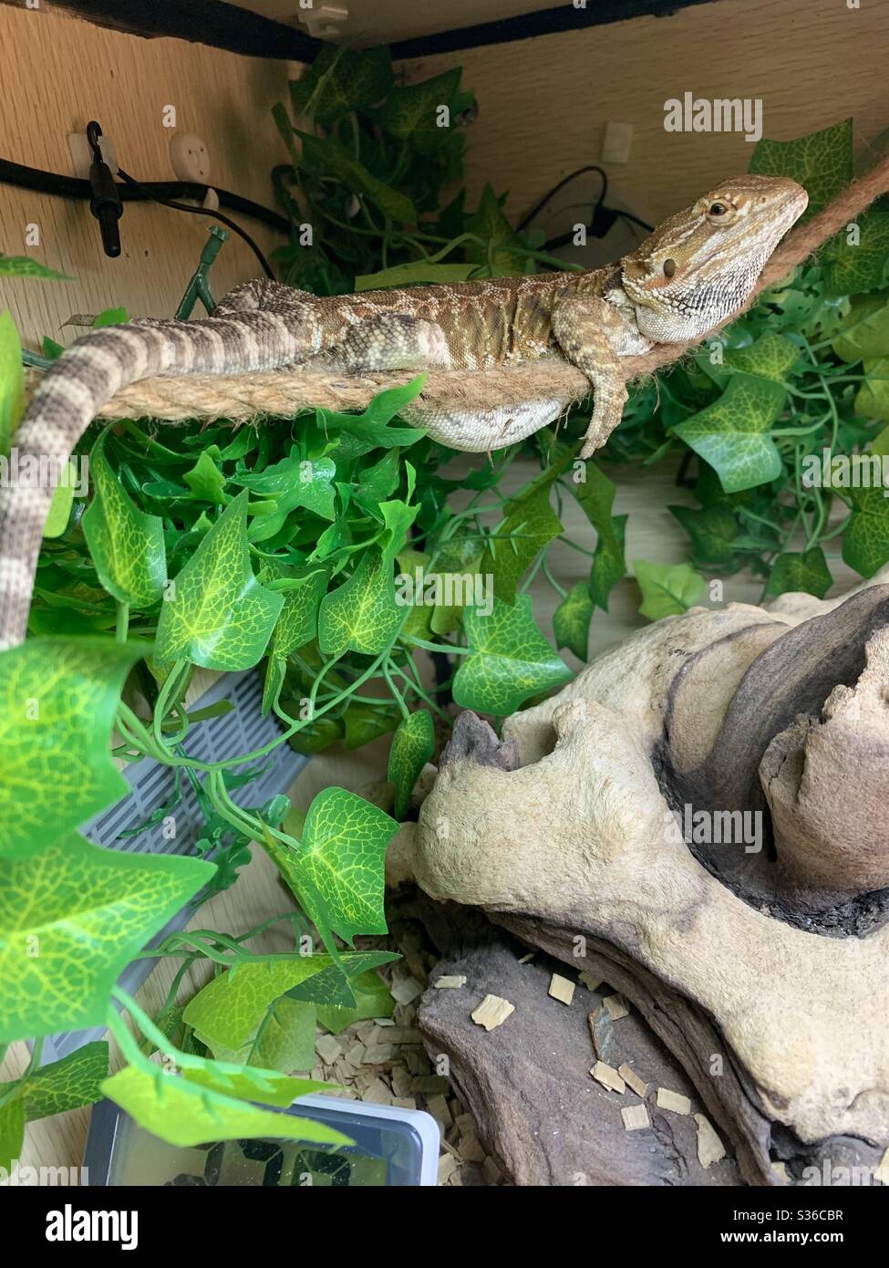 Lockdown vibes hi-res stock photography and images - Alamy