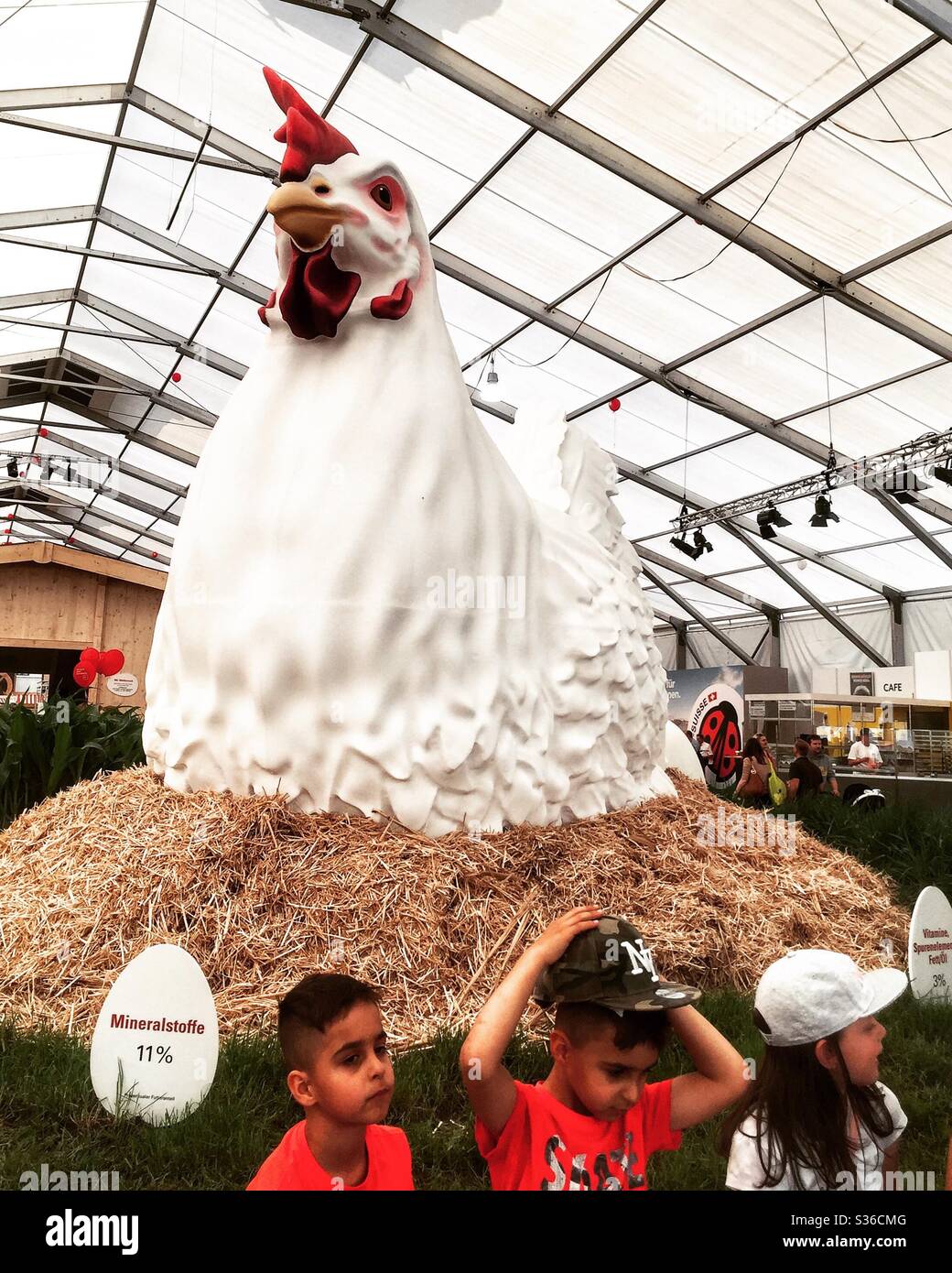 Giant hen at agricultural show, Bern, Switzerland Stock Photo - Alamy