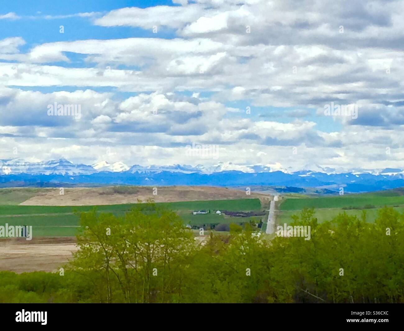 Millarville hi-res stock photography and images - Alamy