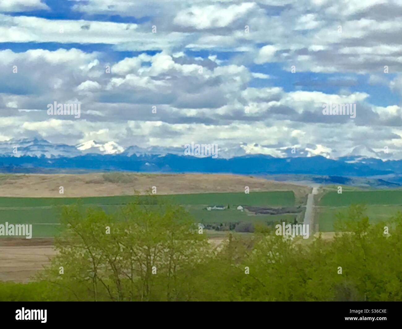 Millarville hi-res stock photography and images - Alamy