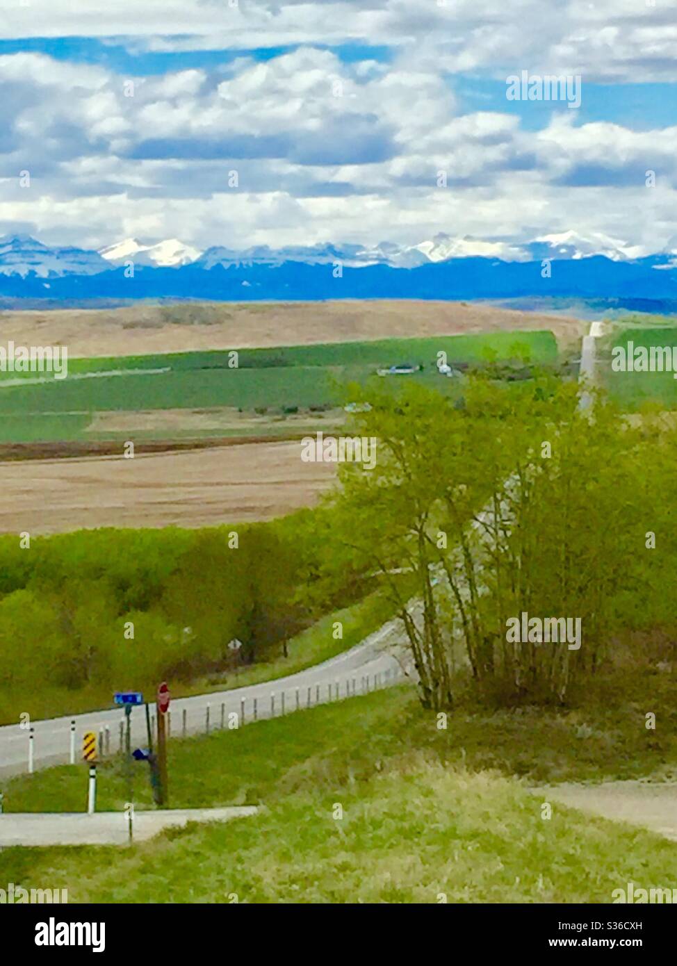 Millarville hi-res stock photography and images - Alamy